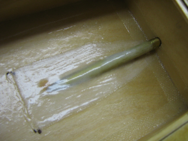 Blazer Marine Backlash